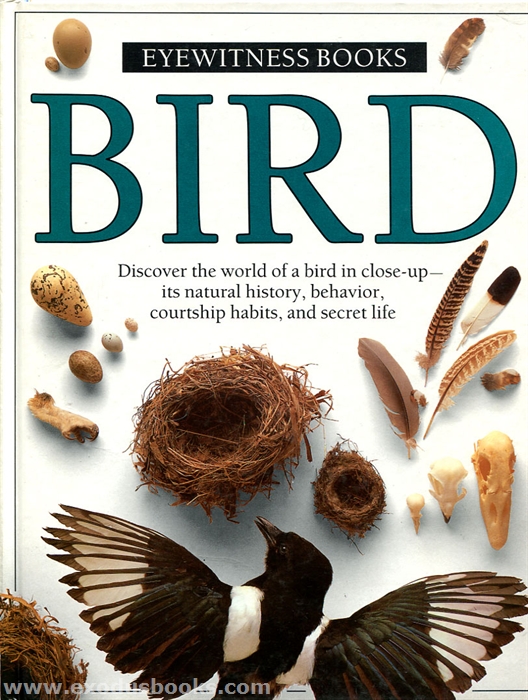 DK Eyewitness: Bird - Exodus Books