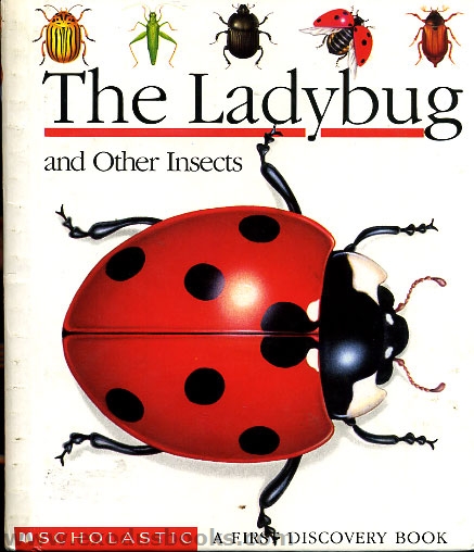 Ladybug and Other Insects - Exodus Books