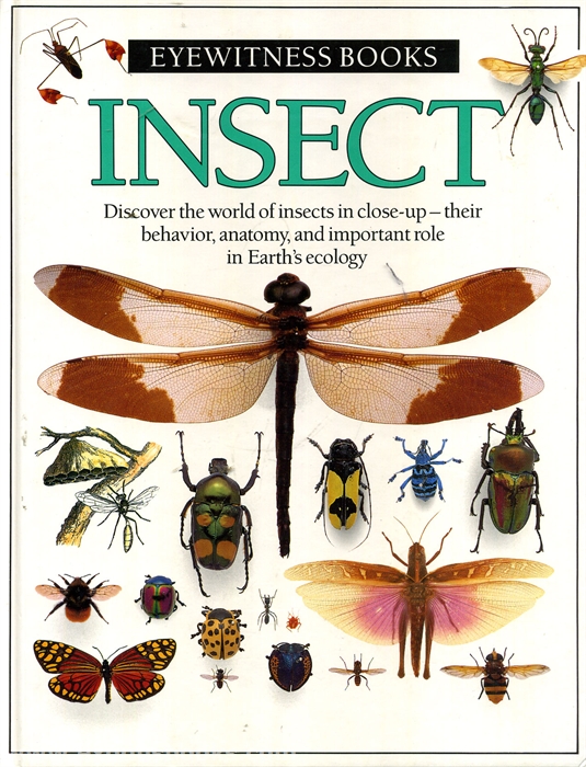 DK Eyewitness: Insect - Exodus Books