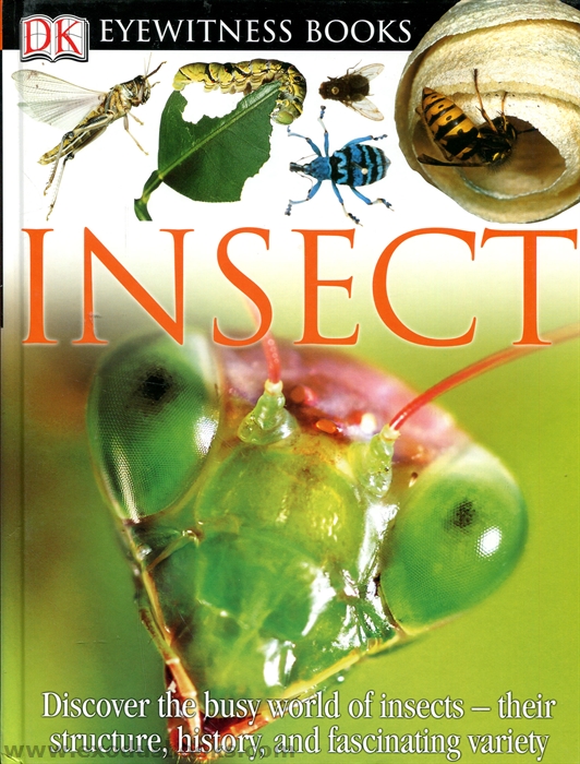 DK Eyewitness: Insect - Exodus Books