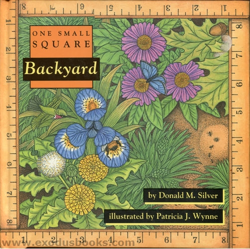 One Small Square: Backyard - Exodus Books